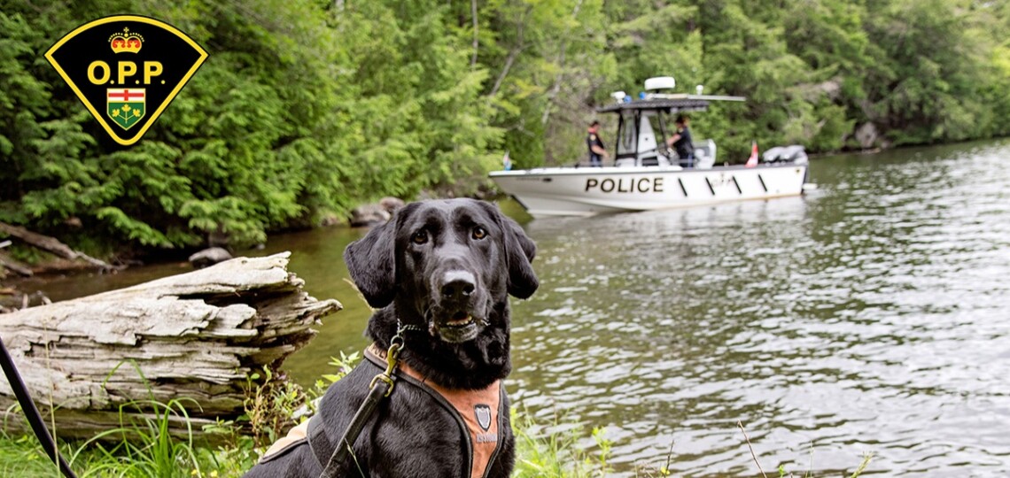 OPP K-9 Unit calendar supports ‘paw’some causes - South Muskoka Doppler