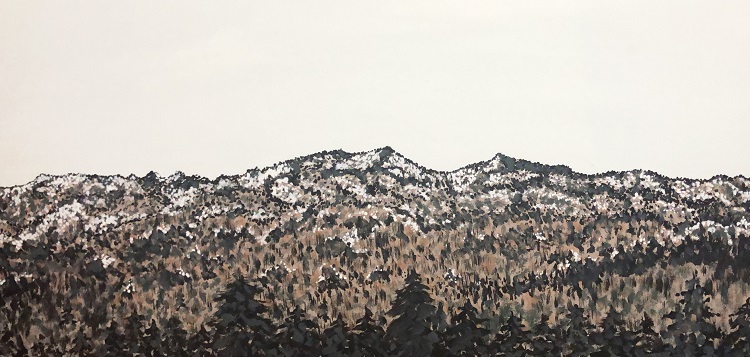 Art Fx #35: “Granite Ridge” by Ciara Ryan (Stead) - South Muskoka Doppler