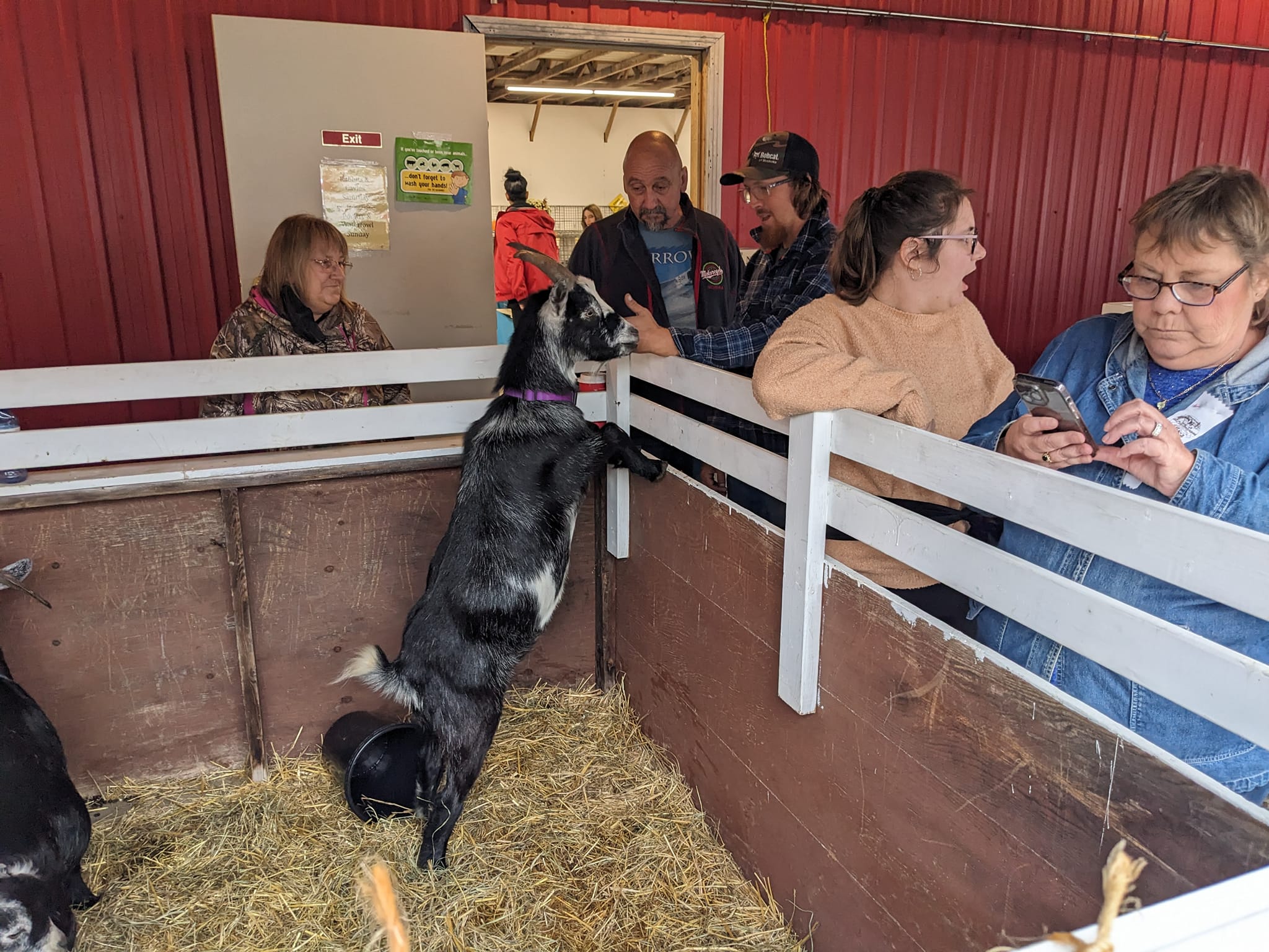 Fun at Bracebridge Fall Fair - South Muskoka Doppler