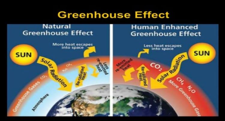 Life in the biggest greenhouse: Hugh Holland | Commentary - South ...