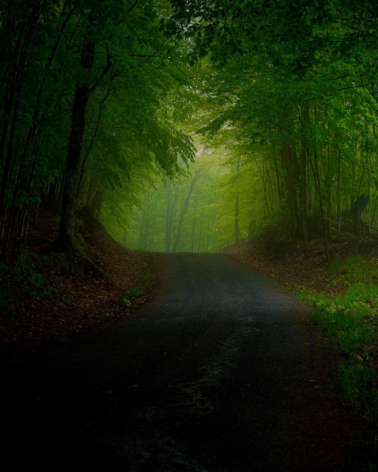 Doppler Weekend Weather - South Muskoka Doppler