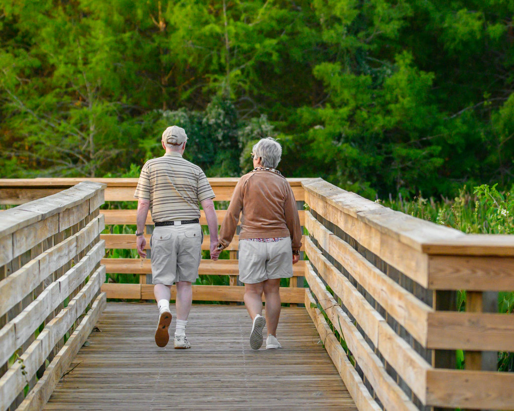 National Seniors Day Kicks Off New Fall Programs in Muskoka - South ...